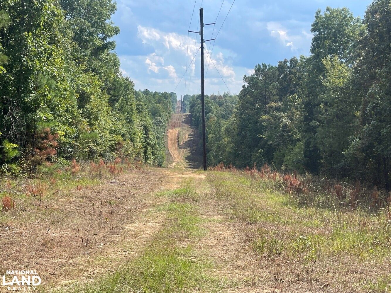 0 Highway 107, Guin, AL 35563 | Land and Farm
