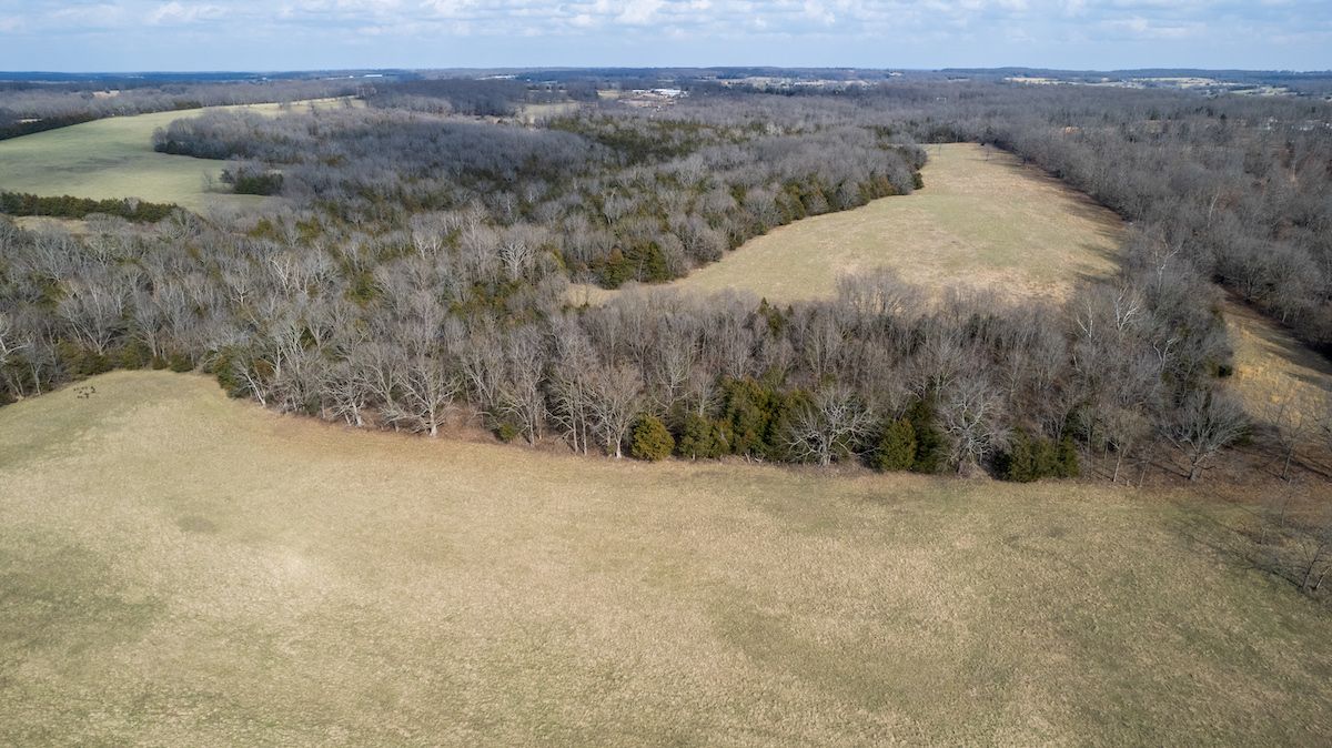 TBD Orchard Road, Lot #WP001, Grovespring, MO 65662 | Land and Farm