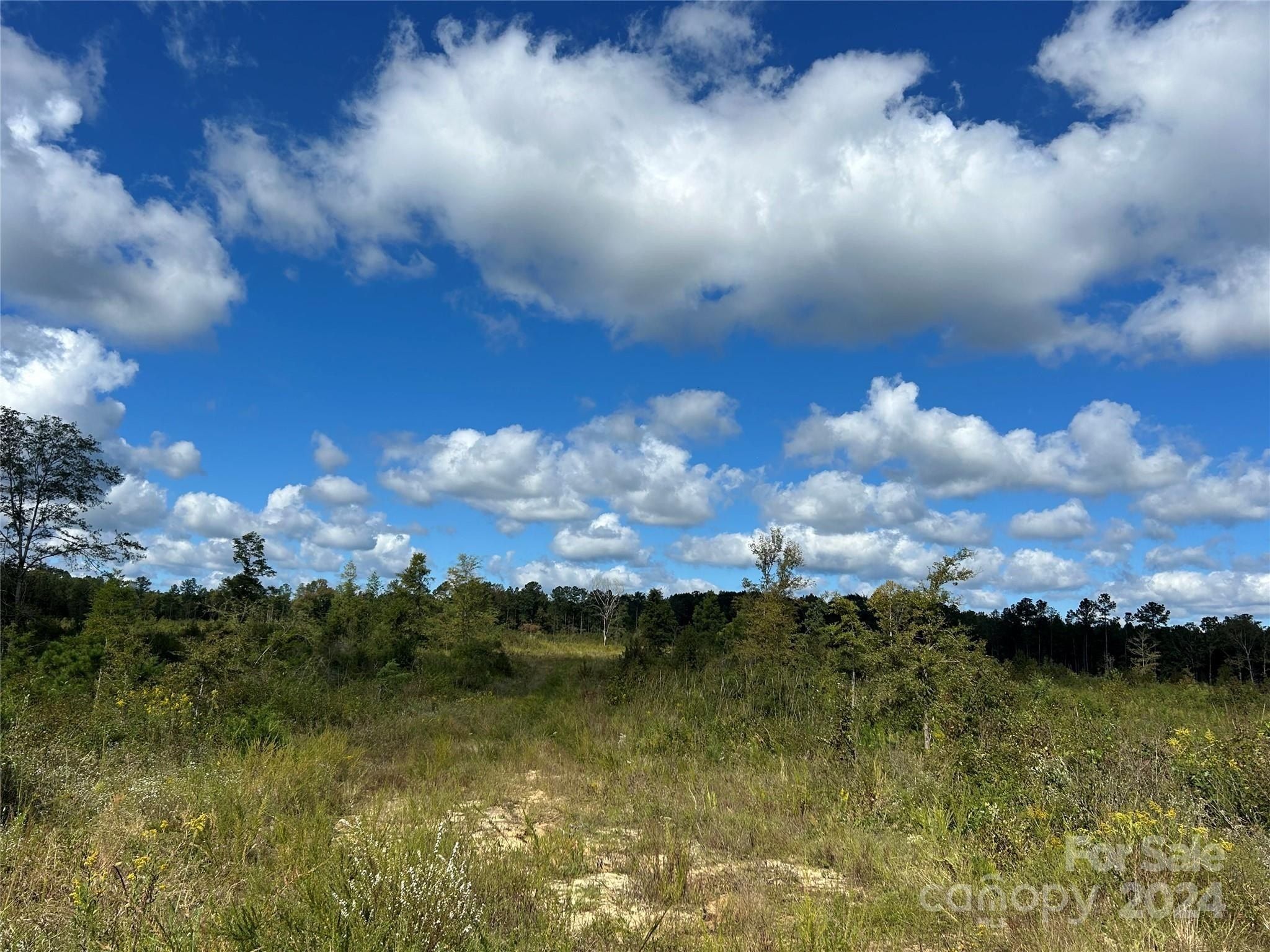 60 Ac Shannon Road, Blackstock, SC 29014 | MLS: 4188620 | Land and Farm