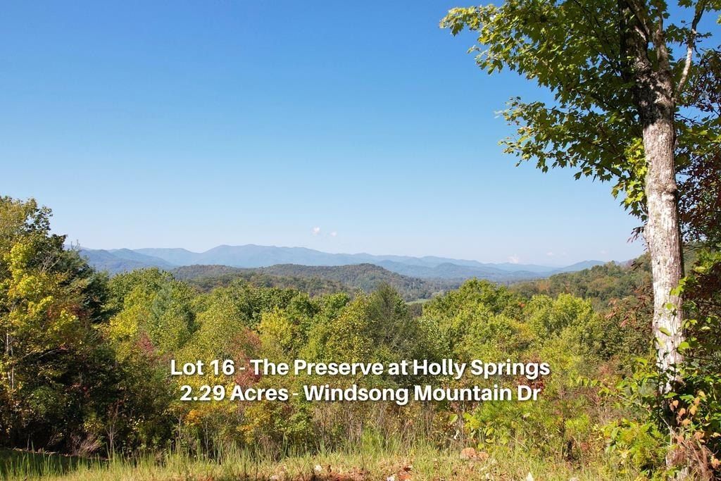 16 Windsong Mountain Rd, Franklin, NC 28734 | MLS: 26038024 | Land and Farm