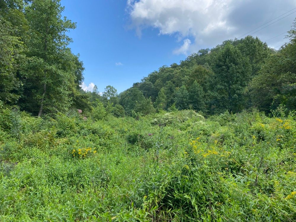 Puncheon Camp Creek Lot# Wp04, Jackson, KY 41339 | Land and Farm