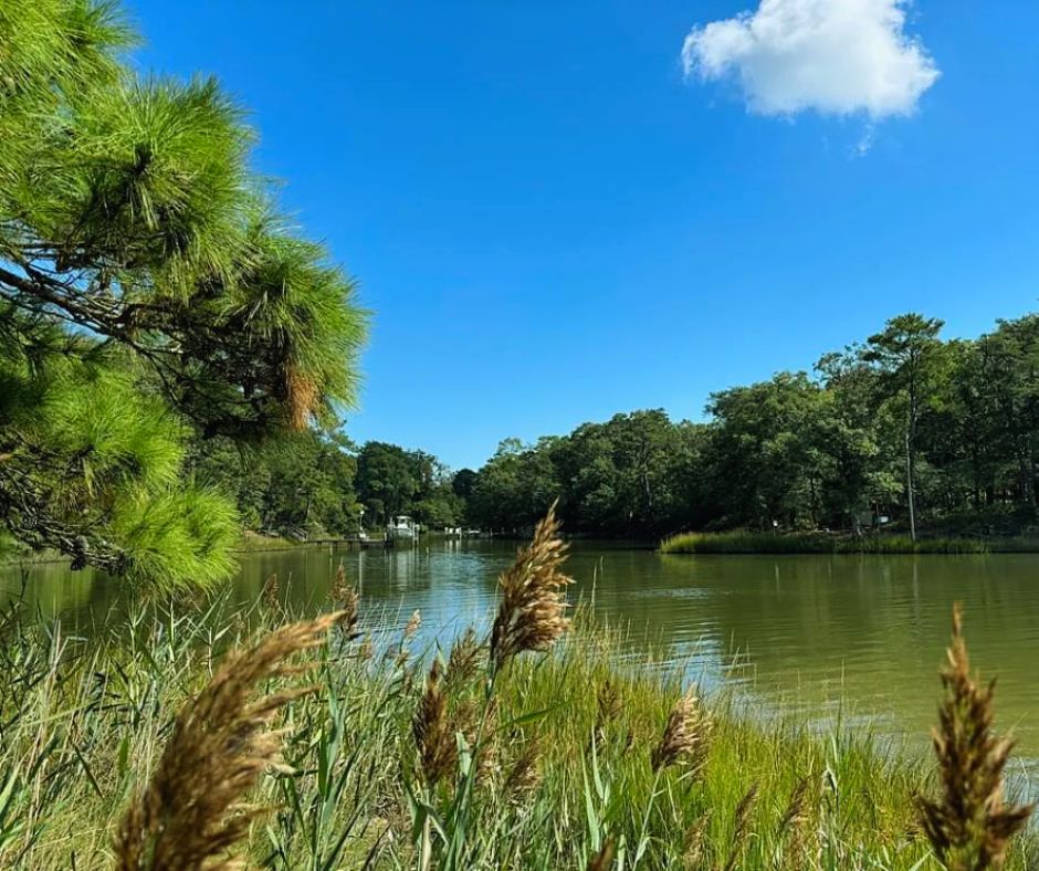 White Tail Ln, Machipongo, VA 23405 | Land and Farm