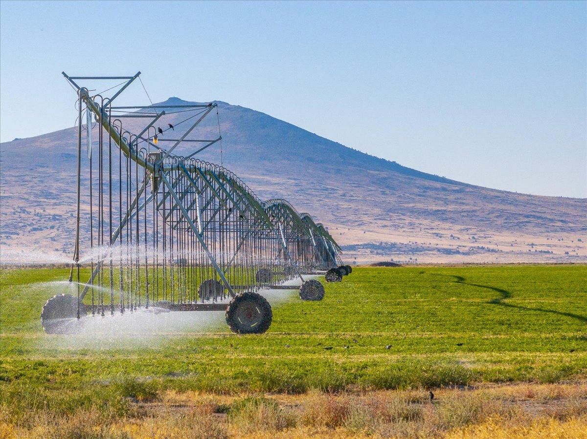 650 Tuledad Road, Ravendale, CA 96123 | Land and Farm