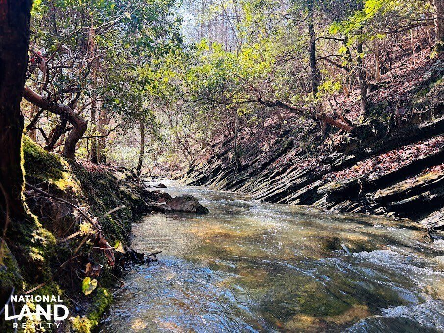 95 Beaver Run Court, Waco, GA 30182 | MLS: 11353125 | Land and Farm