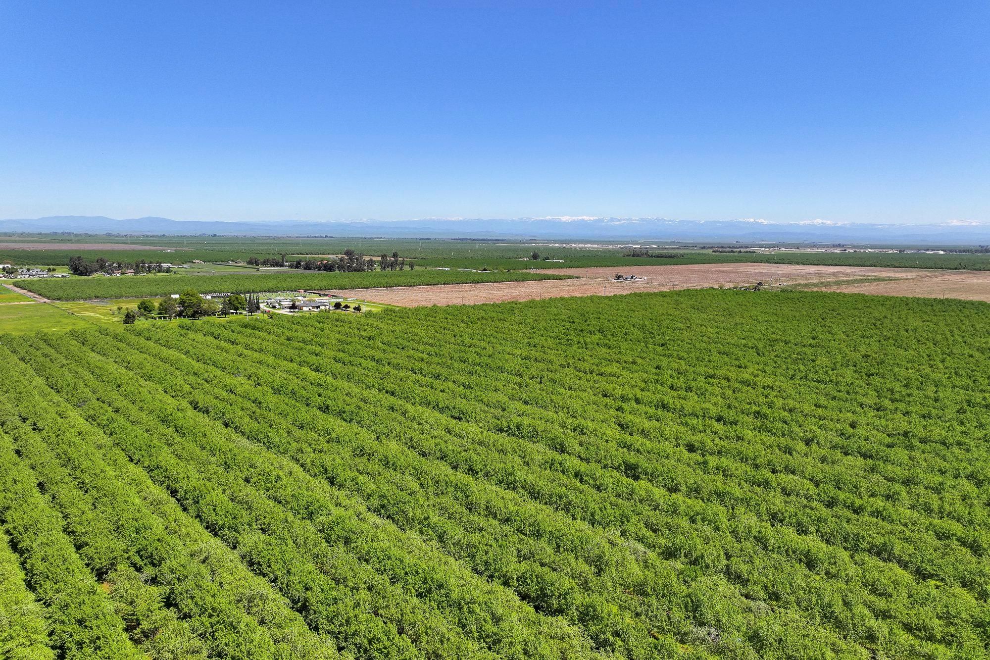 19786 Avenue 23, Chowchilla, CA 93610 | Land and Farm