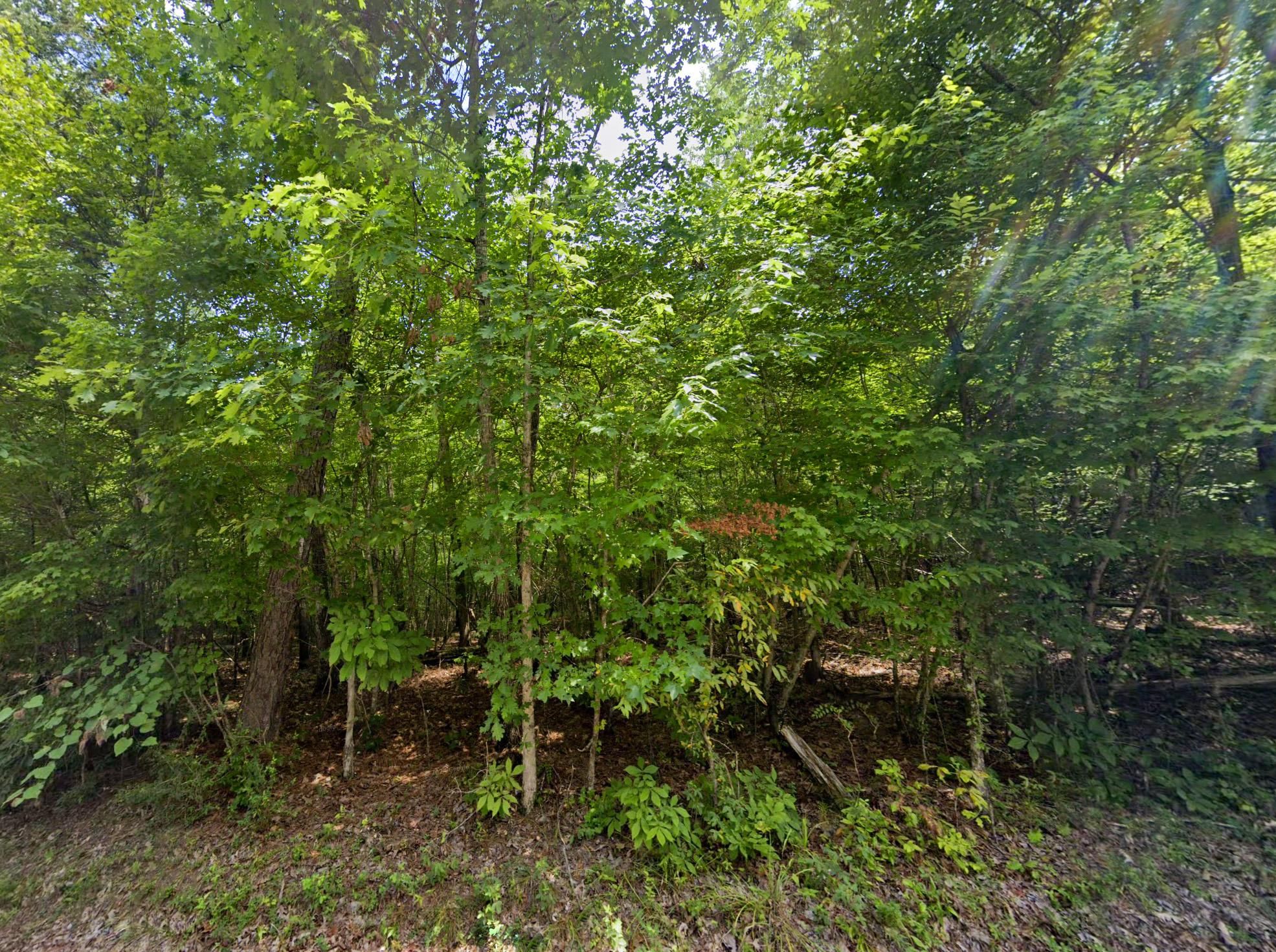 Highland St, Glencoe, AL 35905 | Land and Farm
