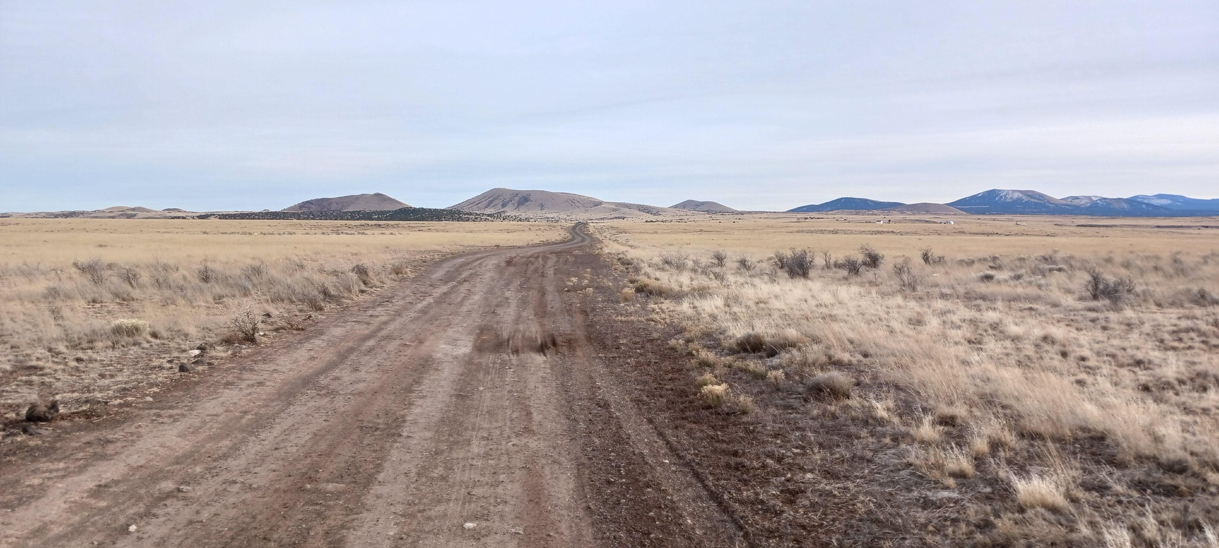 n3491 County Road, Concho, AZ 85924 | MLS: 107-28-032 | Land and Farm