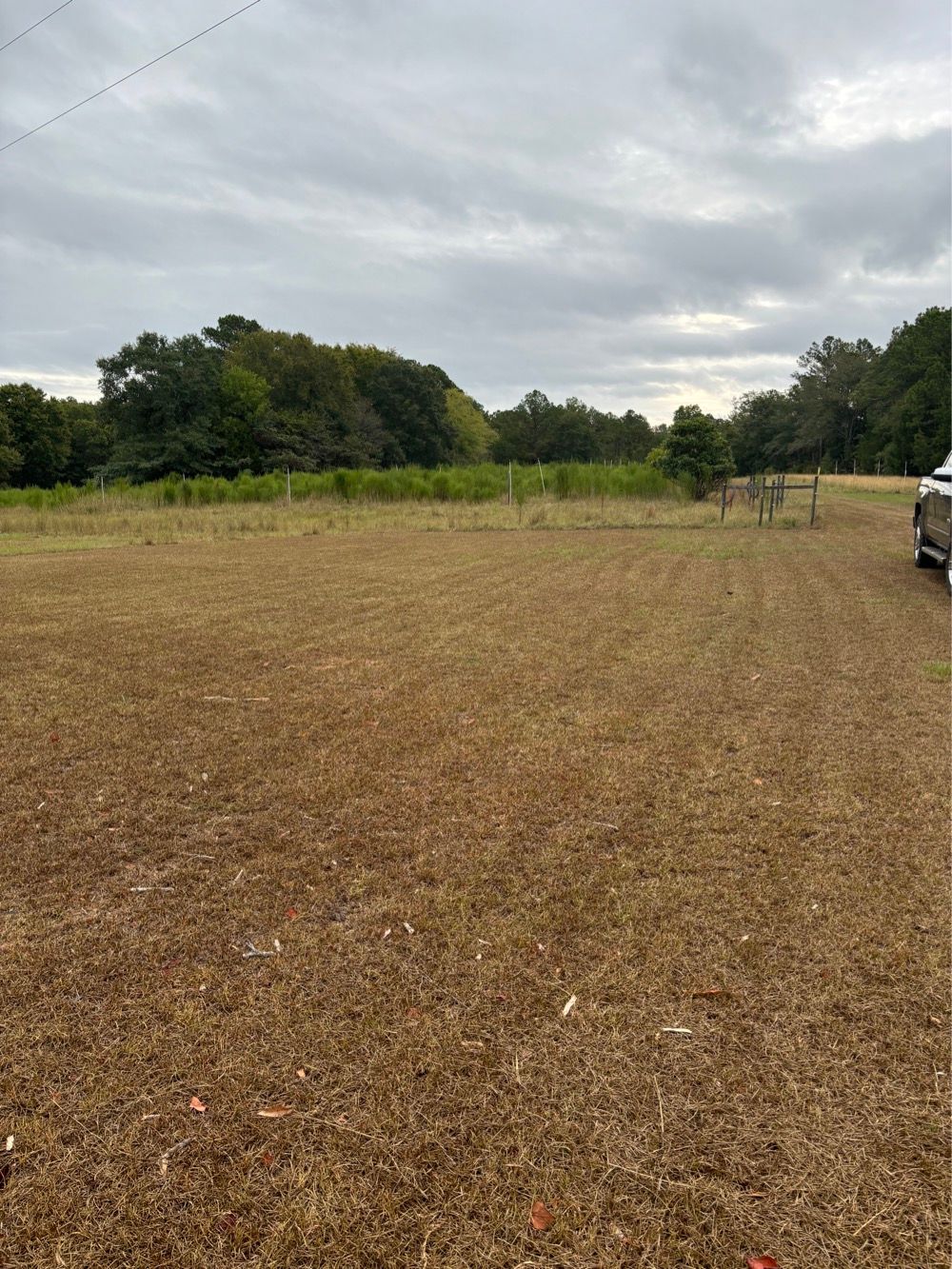 662 Thornton Road, Morris, GA 39867 | Land and Farm