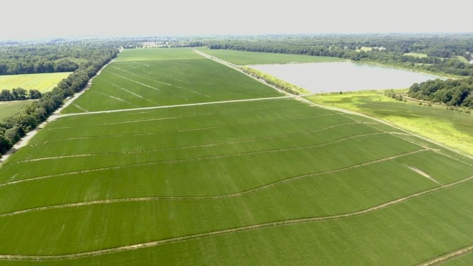 350 acres in Bono, AR, 72416 | Land and Farm