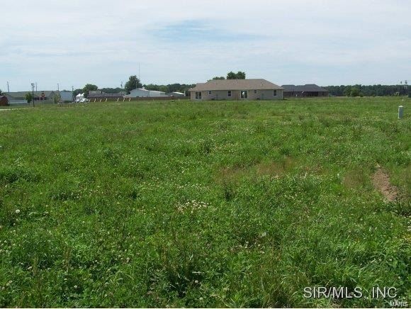 600 Kate Court, Saint Libory, IL 62282 | MLS: 21031618 | Land and Farm