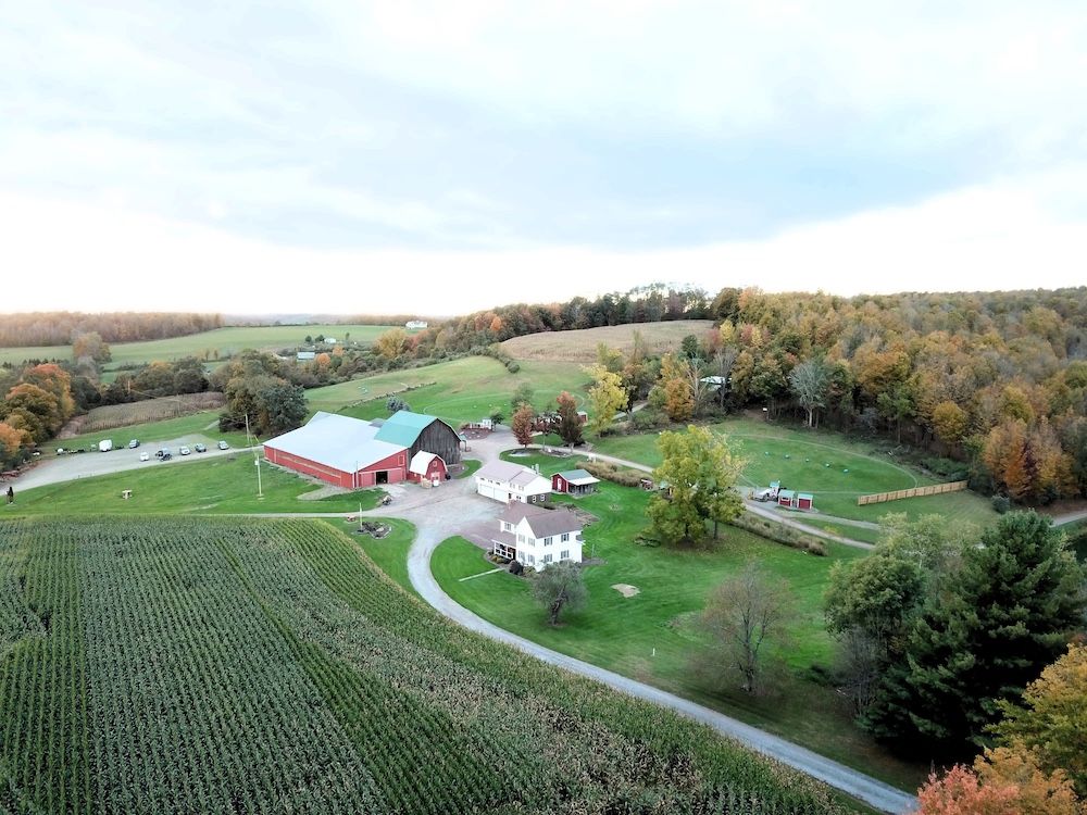 619 Leon Brown Road, Middlebury Center, PA 16935 | Land and Farm