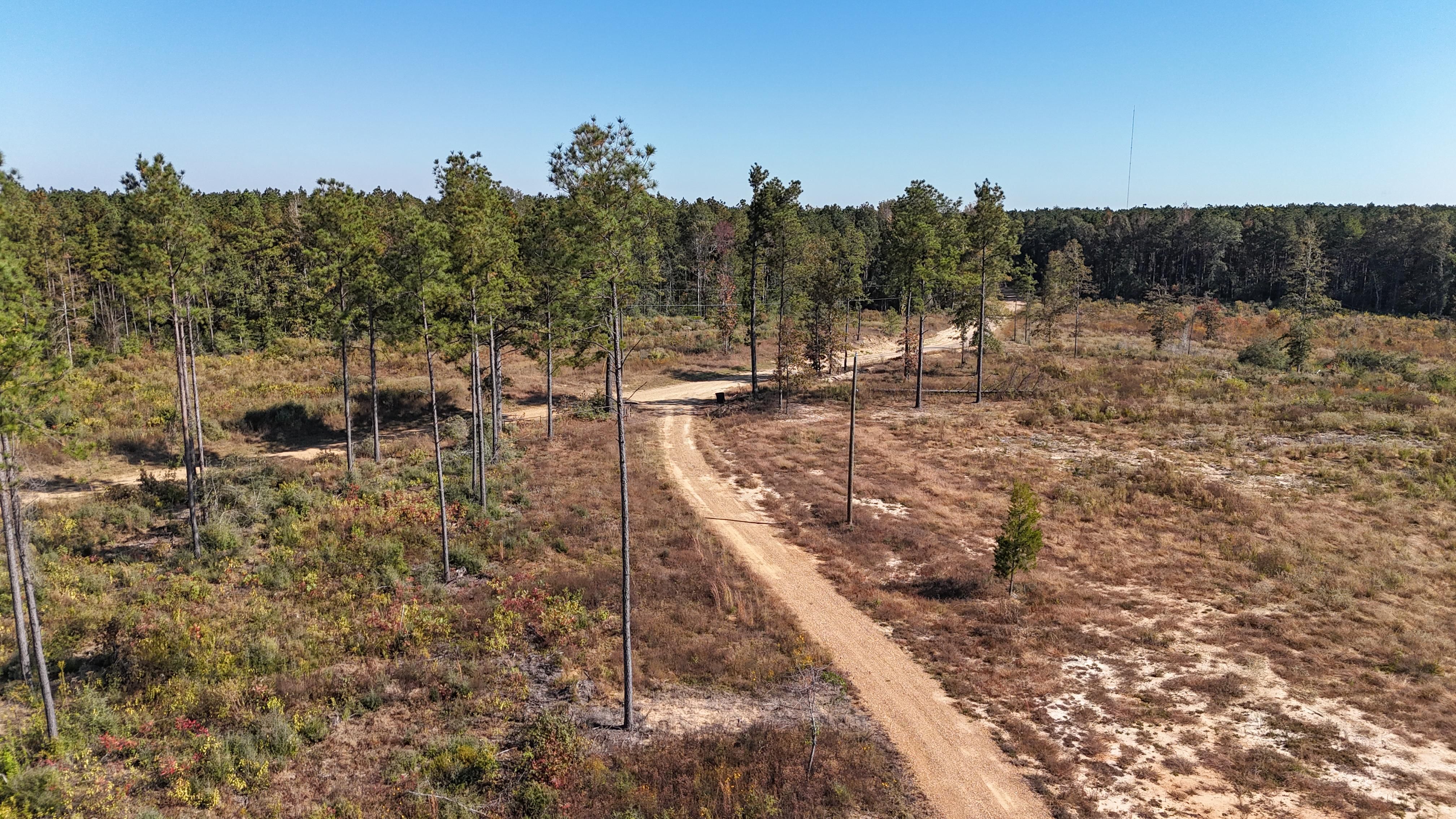 80 acres in Grayson, LA, 71435 | Land and Farm