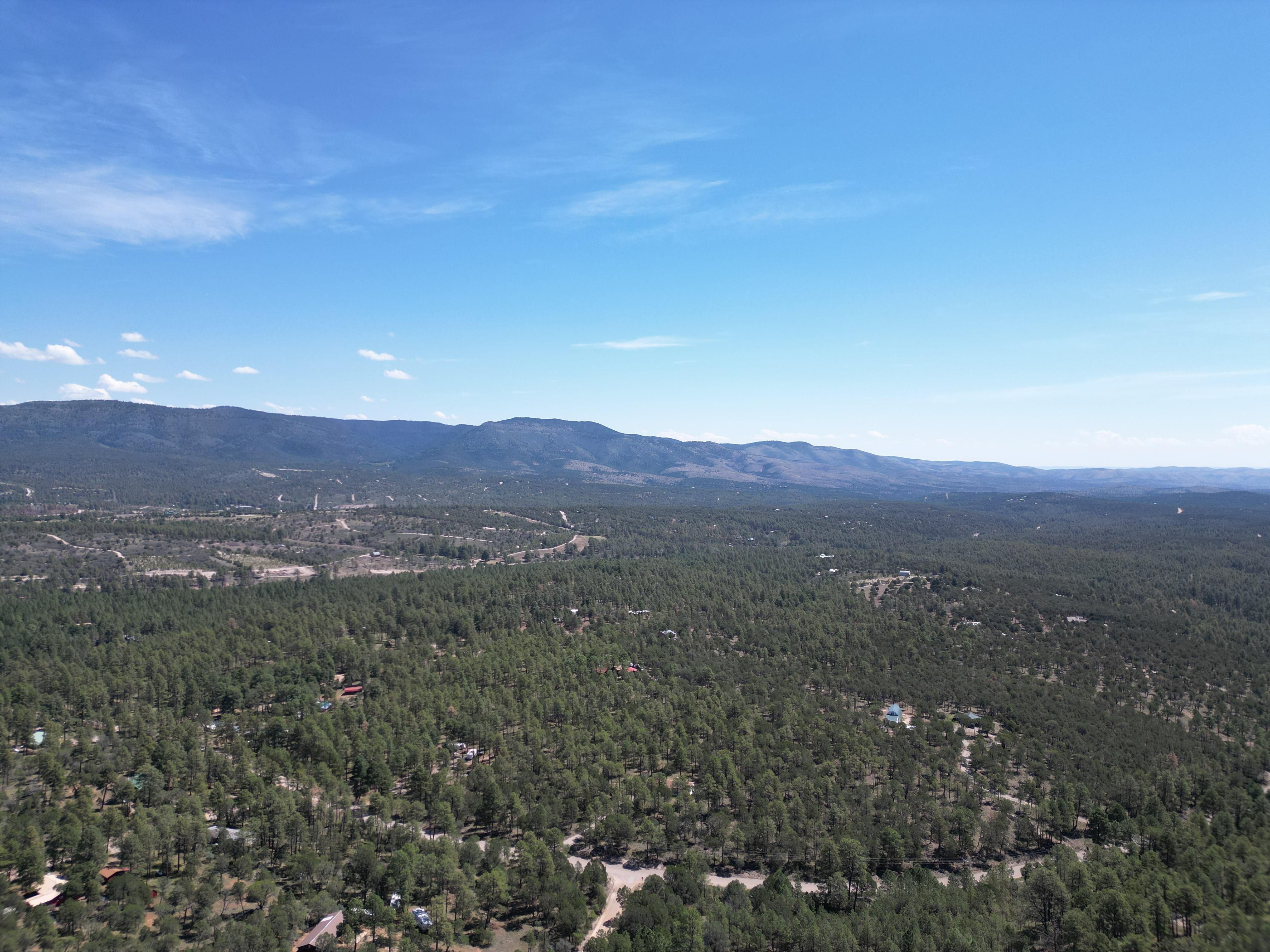 Longfellow Ct, Timberon, NM 88350 | Land and Farm