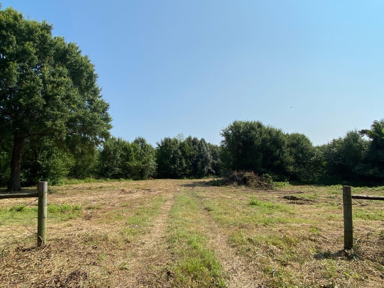 117 acres in Higginson, AR, 72068 | MLS: 20039271 | Land and Farm