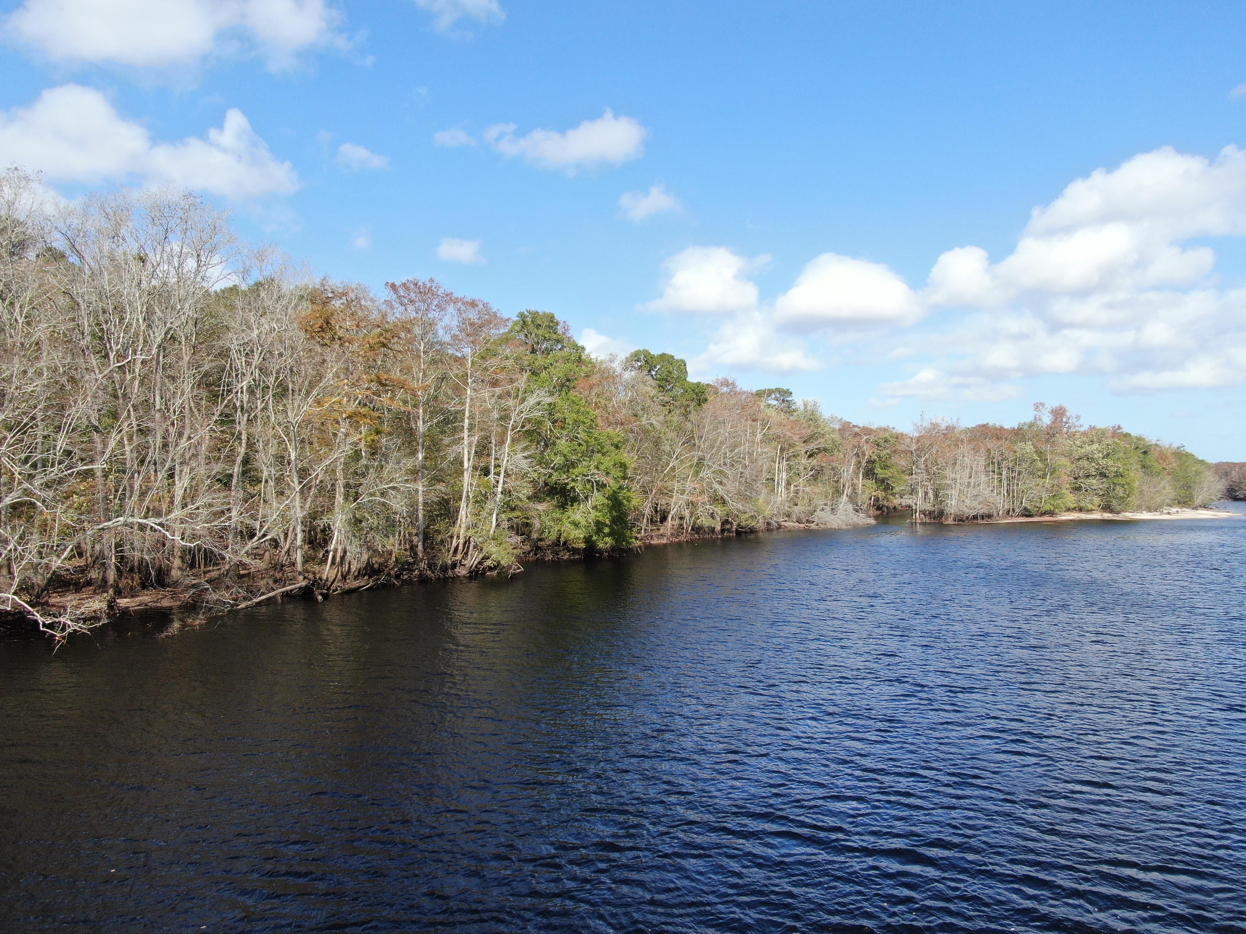 Channel View Loop, Mullins, SC 29574 | MLS: 2425795 | Land and Farm
