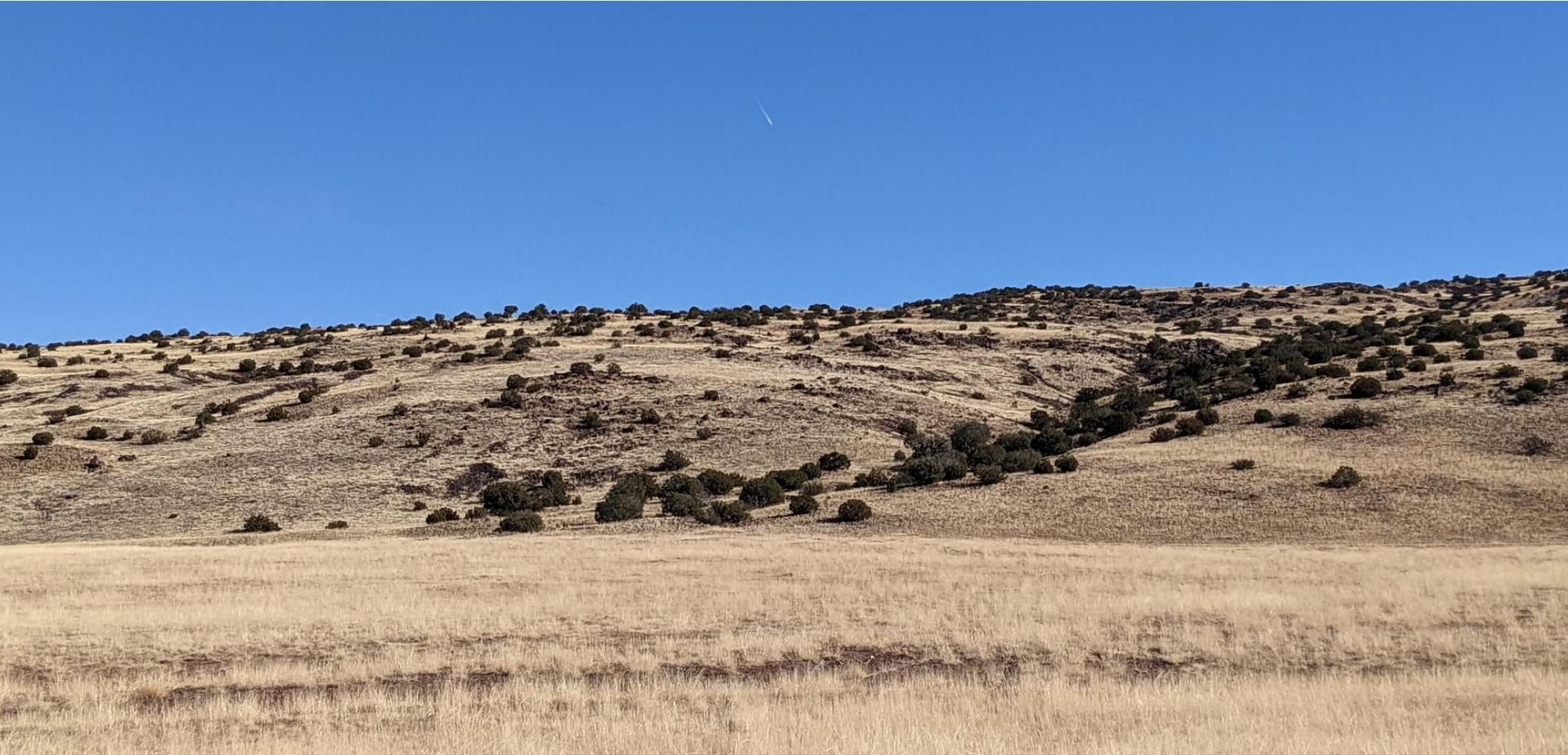 10 acres in Concho, AZ, 85924 | Land and Farm