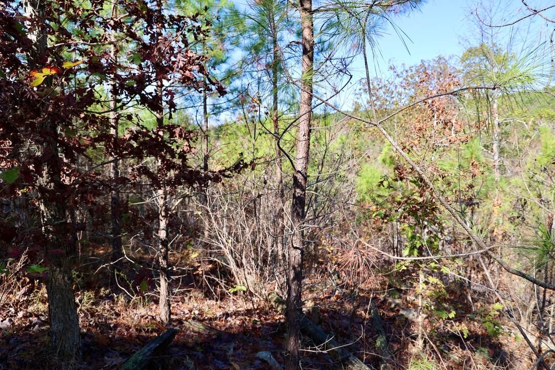 3.21 acres in Honobia, OK, 74957 | Land and Farm