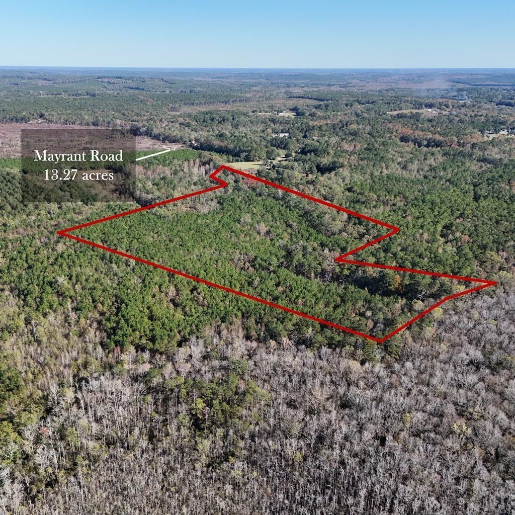 0 Mayrant Rd, Rembert, SC 29128 | MLS: 155630 | Land and Farm