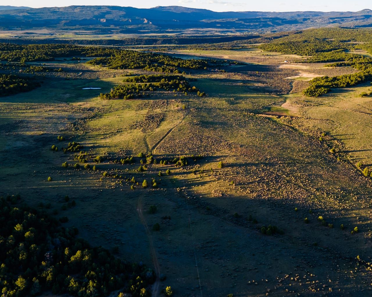 TBD CR 307, Cebolla, NM 87518 | Land and Farm