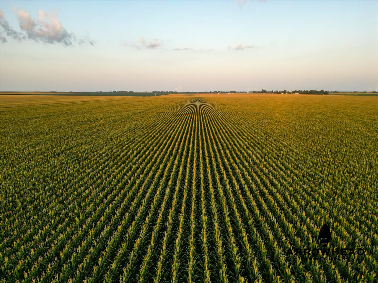 TBD 100N, Raritan, IL 61471 | Land and Farm