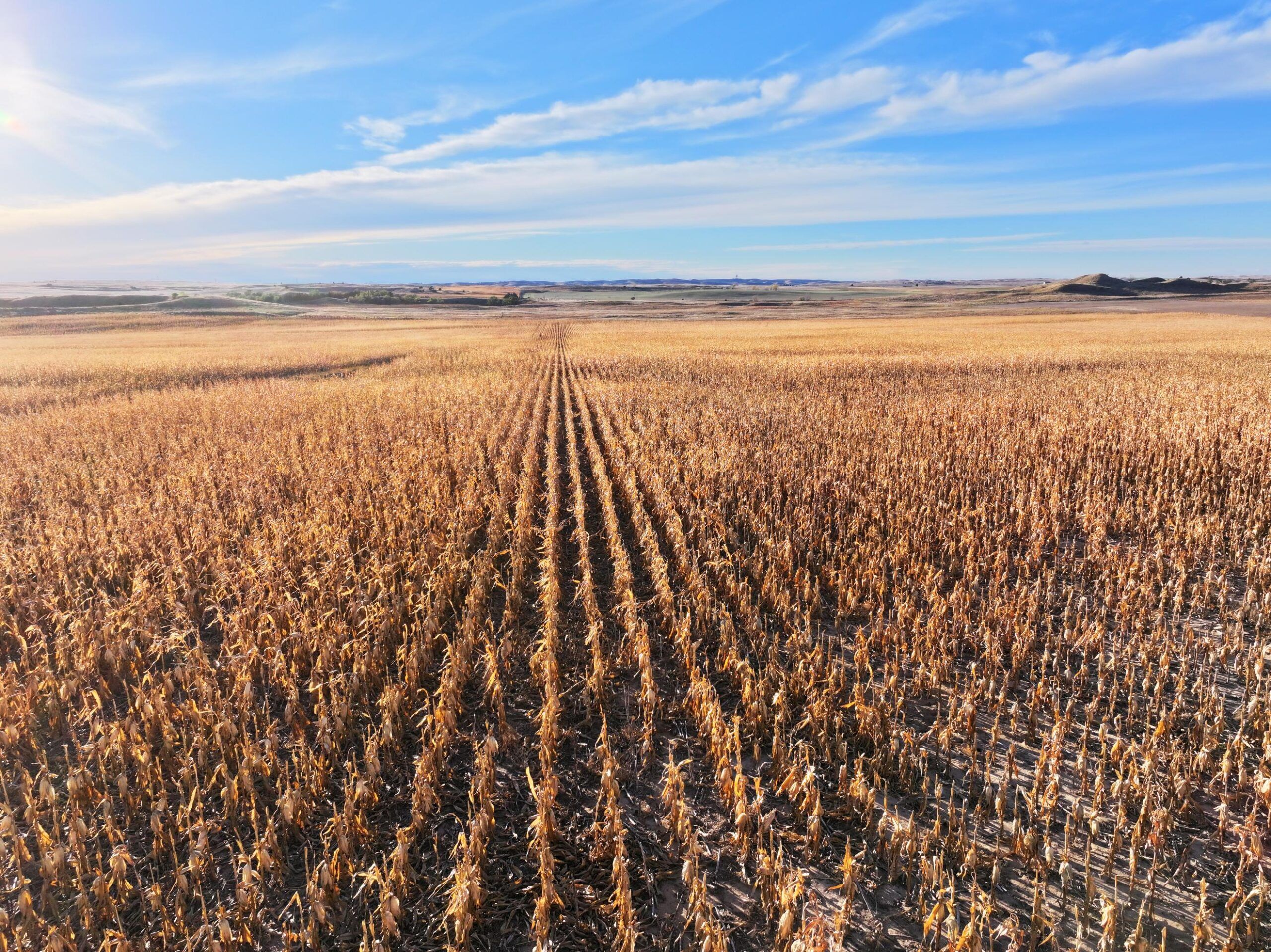 Wellfleet, NE 69170, Wellfleet, NE 69170 | Land and Farm