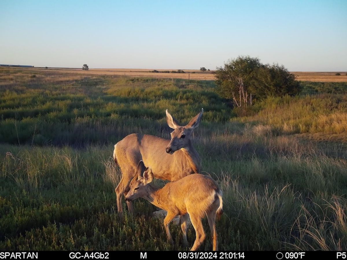 TBD Road 20, Lot#WP001, Richfield, KS 67953 | Land and Farm