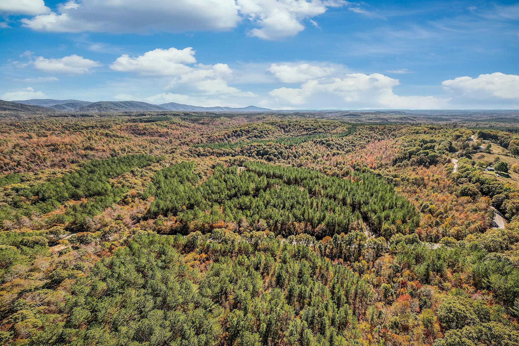 Morgan County Hwy, Sunbright, TN 37872 | Land and Farm