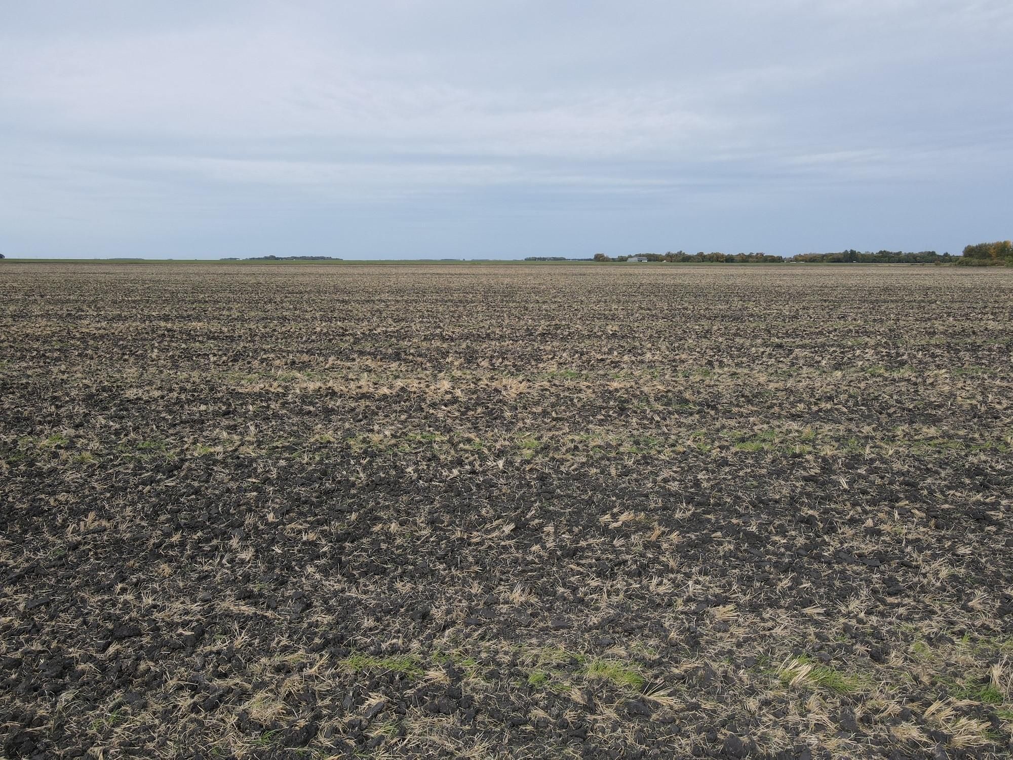 467.74 acres in Stephen, MN, 56757 | MLS: RE491 | Land and Farm