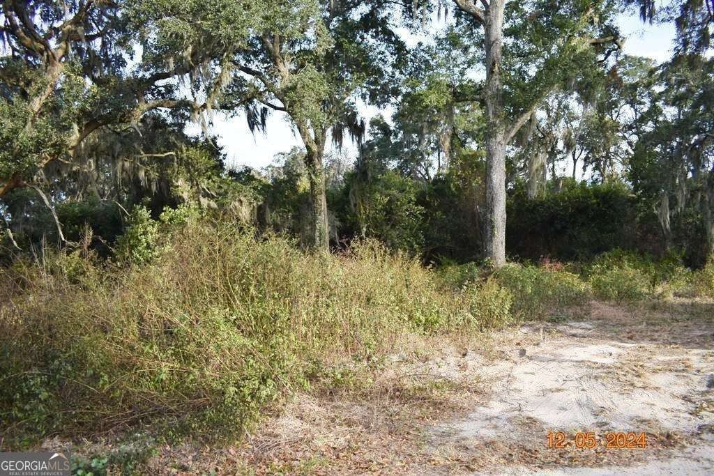 0 Adel, Savannah, GA 31405 | MLS: 10423252 | Land and Farm