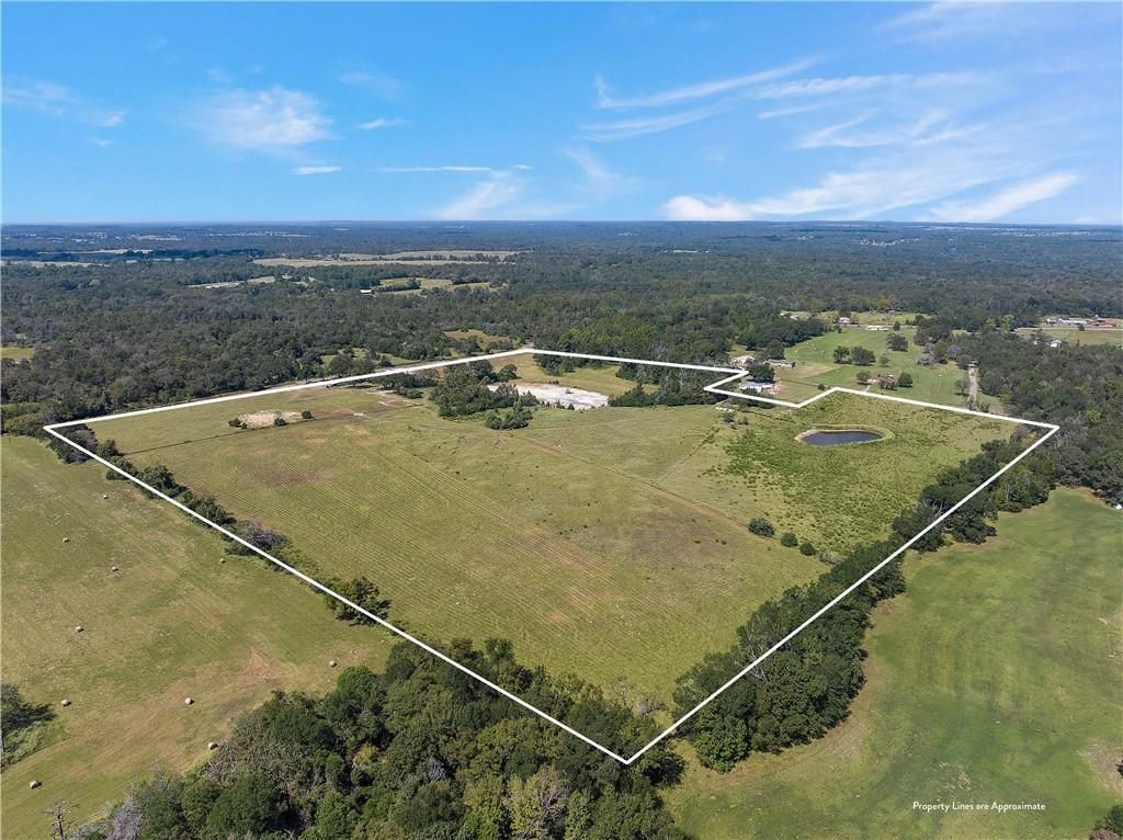 820 County Road 381, Oakwood, TX 75855 | MLS: 225915 | Land and Farm