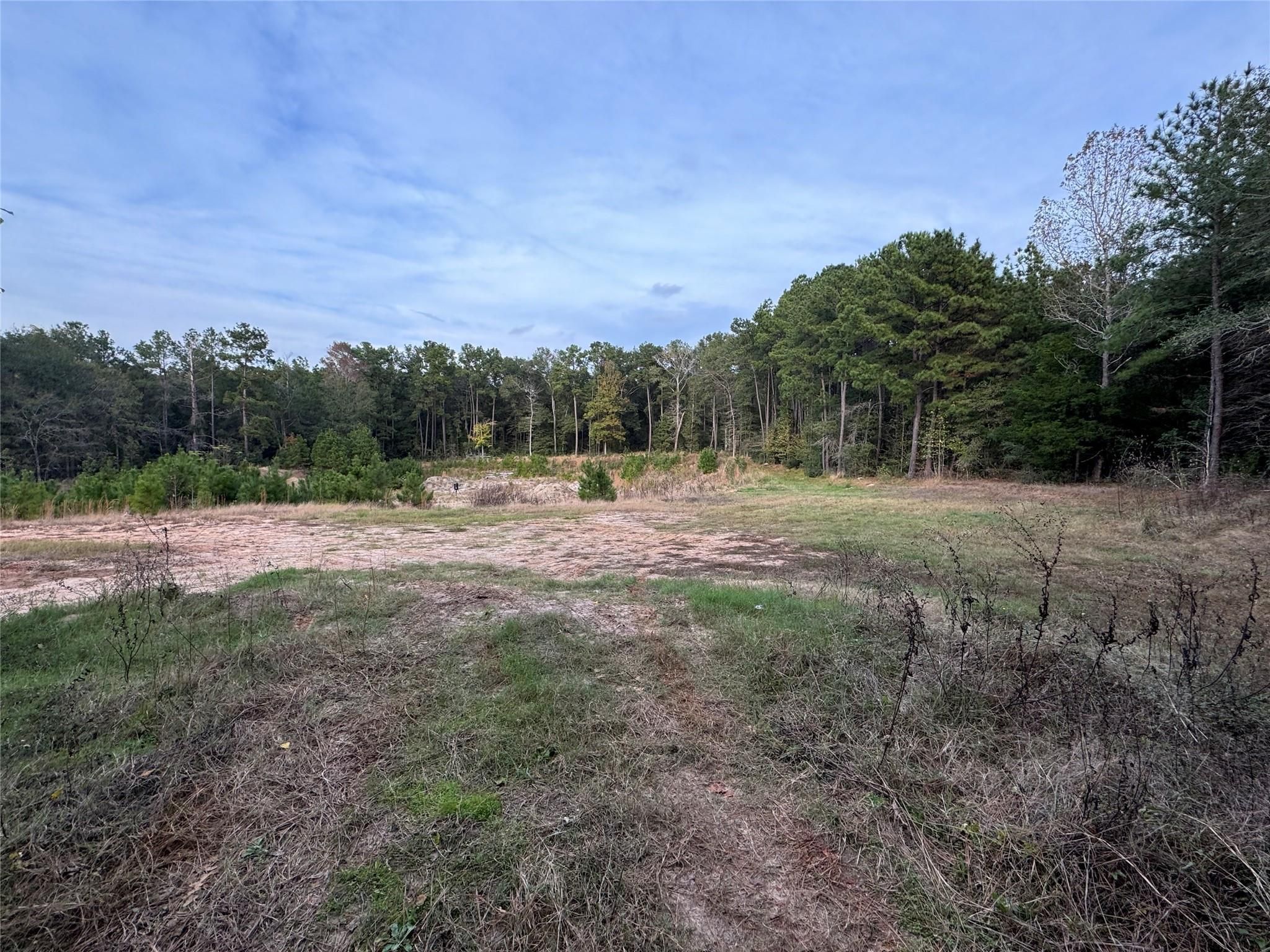 Harden Road, Livingston, TX 77351 | MLS: 68178123 | Land and Farm