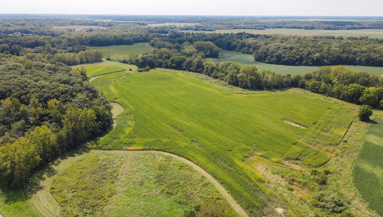149.5 acres in Greenup, IL, 62428 | Land and Farm