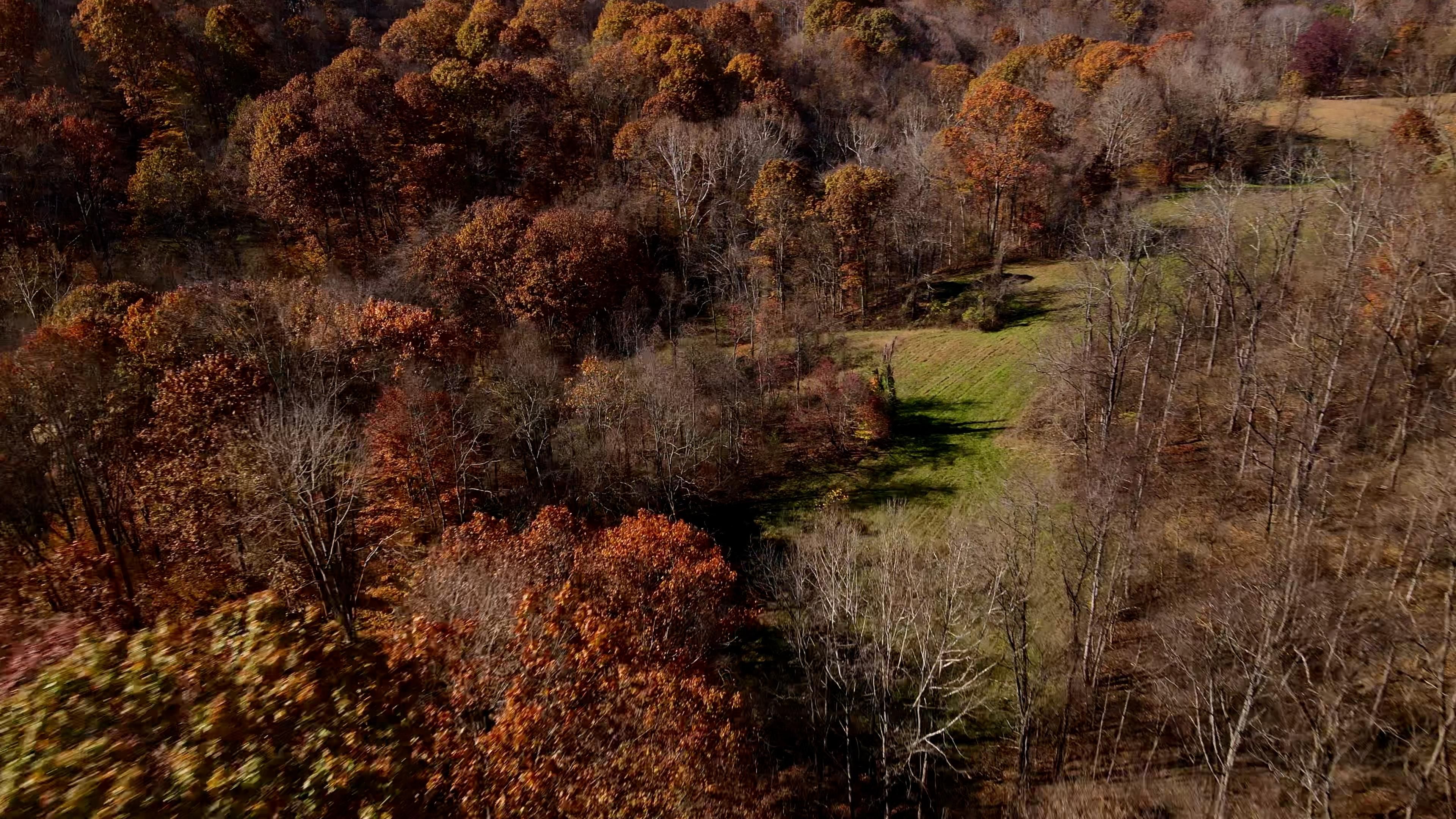 Sand Ridge Rd, Guysville, OH 45735 | MLS: Athens County Ohio Land for ...