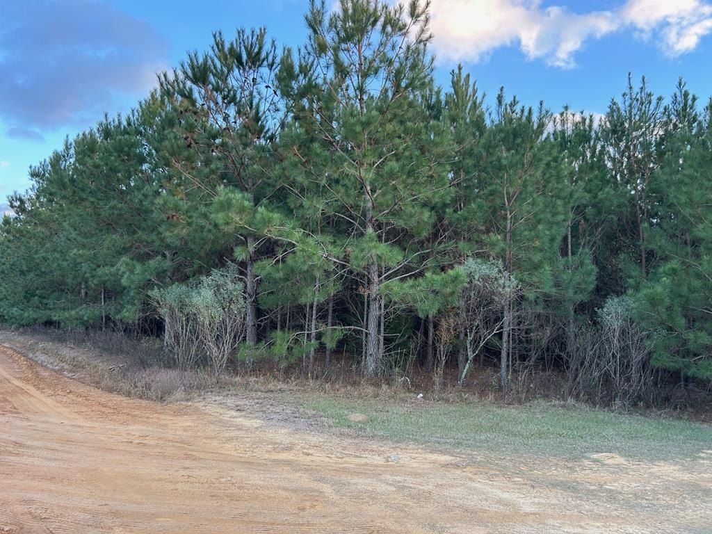 246 Pope Road, Pineview, GA 31071 | MLS: 59241 | Land and Farm