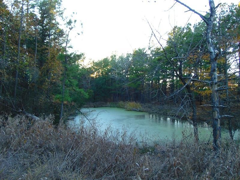 12.62 acres in Fanshawe, OK, 74966 | Land and Farm