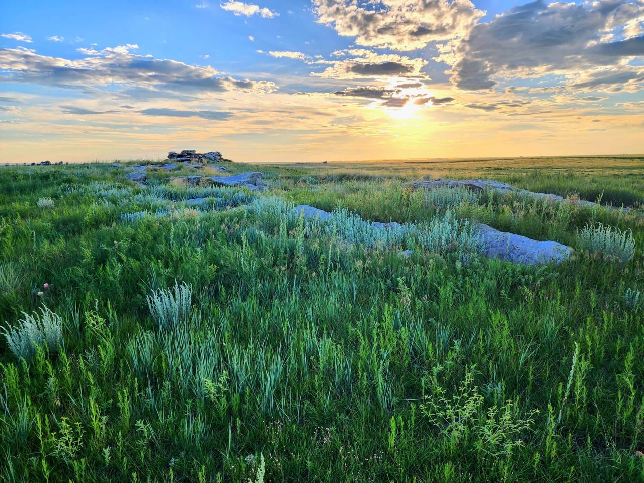 TBD County Road X, Akron, CO 80720 | Land and Farm