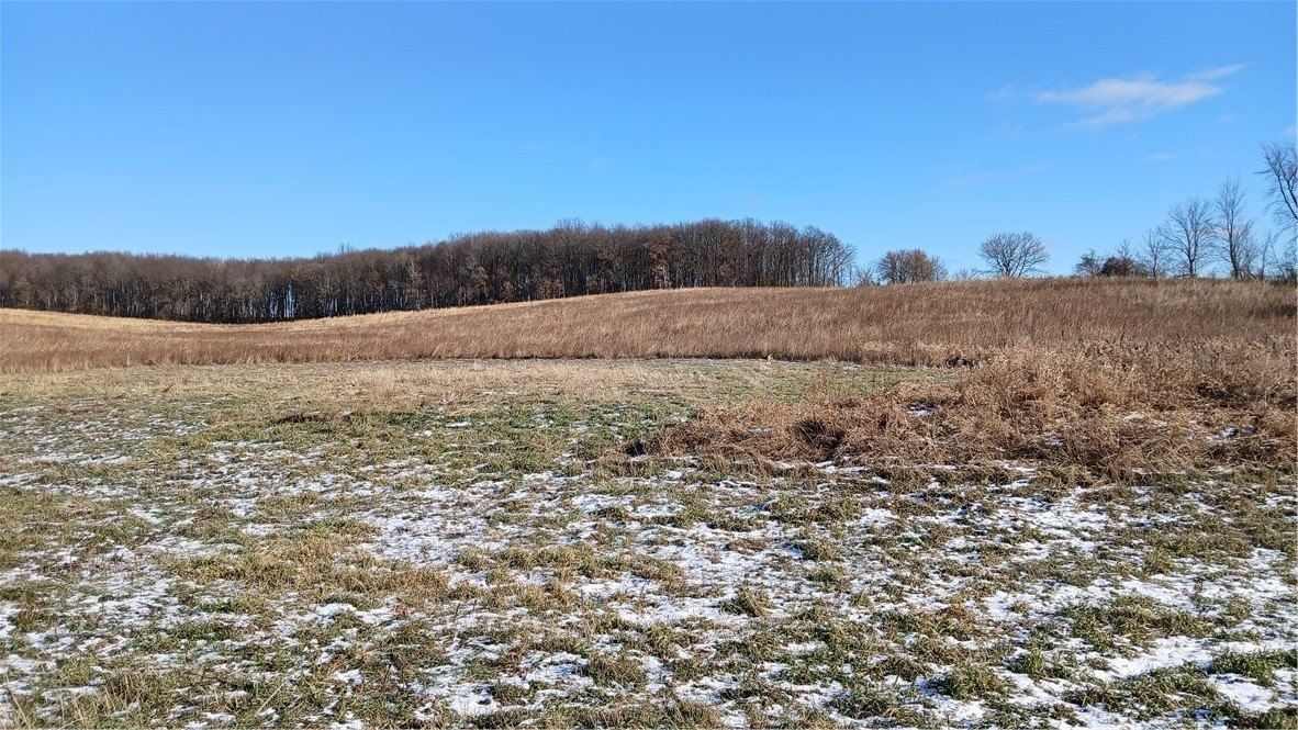 62 Acres 82nd Street, Bloomer, WI 54724 | MLS: 1587895 | Land and Farm