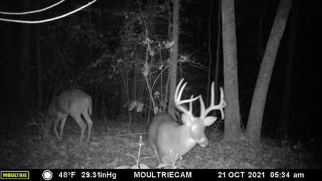 1454 Big Sandy Rd, Left Hand, WV 25251 | Land and Farm