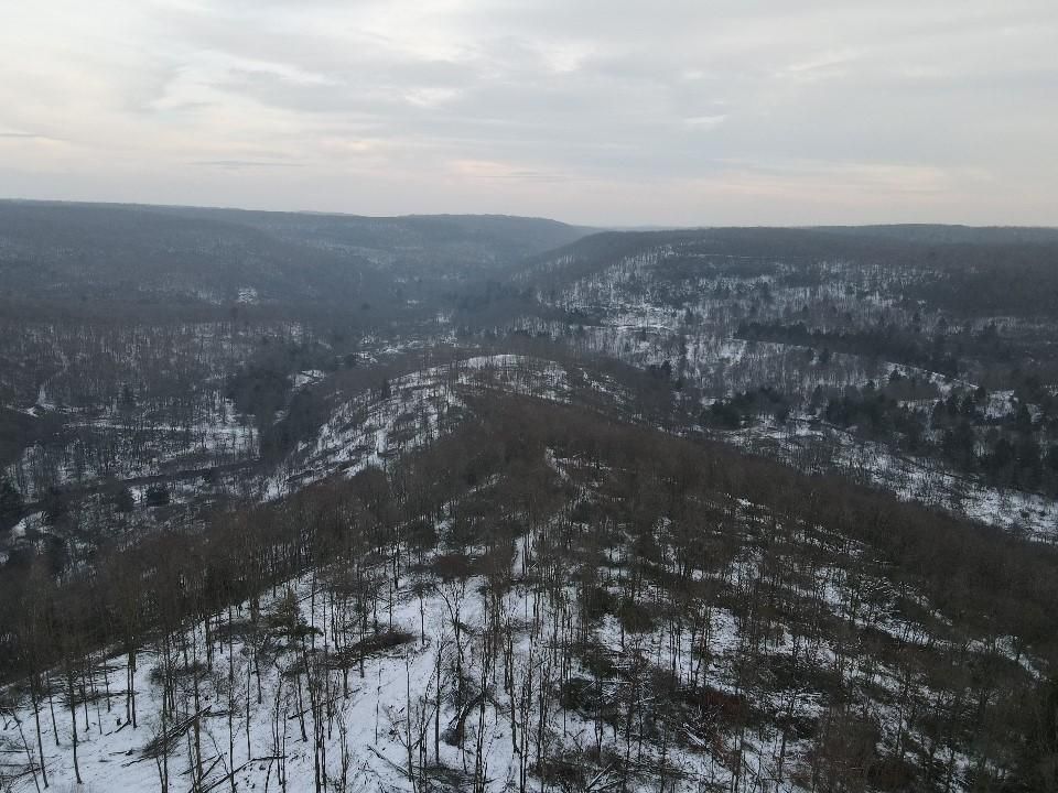 U.S. 219, Rockton, PA 15856 | MLS: 04-14014 | Land and Farm