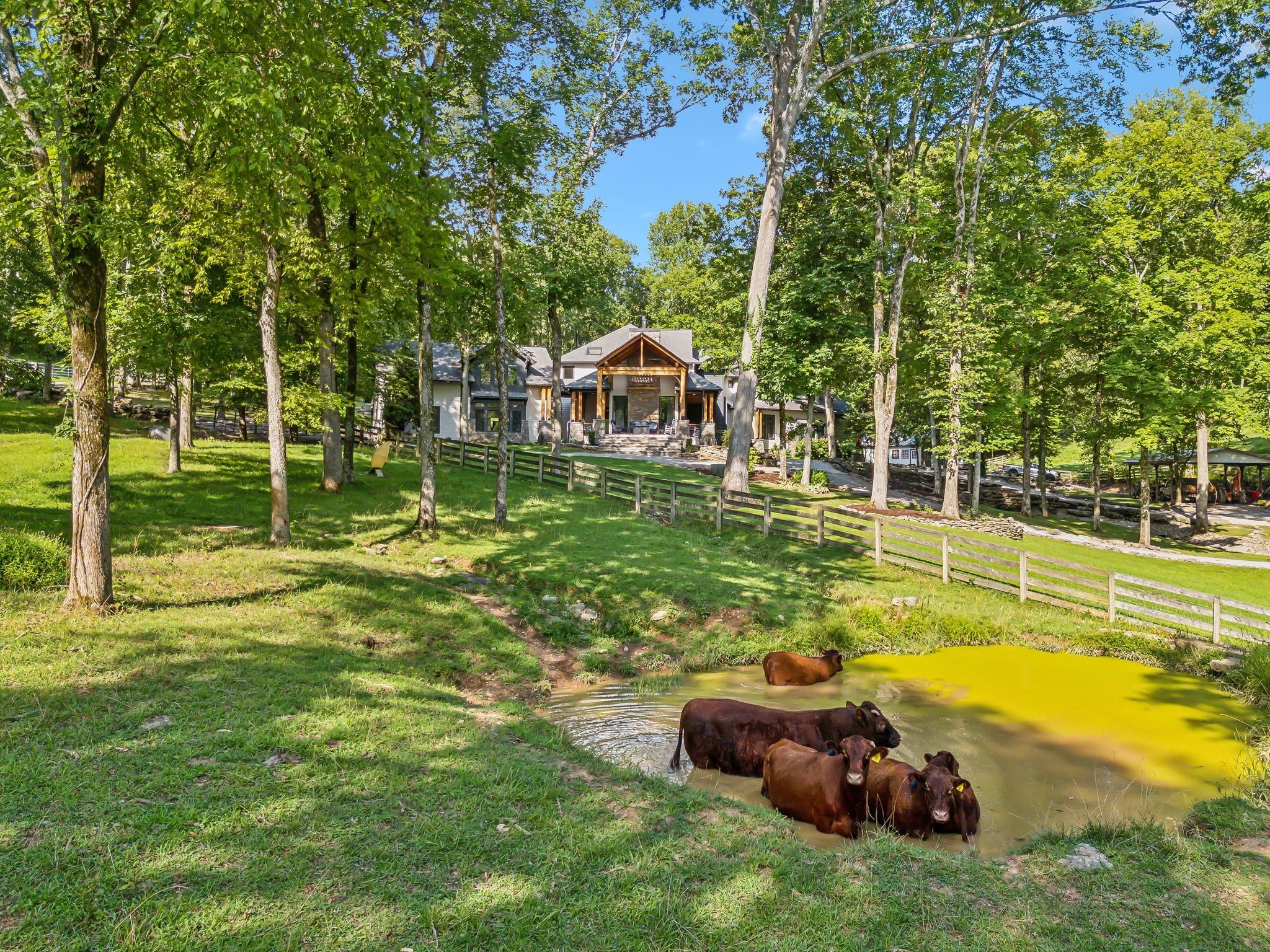 3120 Boxley View Ln, Franklin, TN 37064 | MLS: 2772694 | Land and Farm