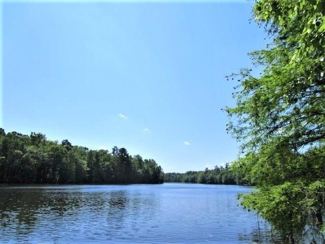 Lot 6 Poplar Creek Dr, Elloree, SC 29047 | MLS: 165057 | Land and Farm