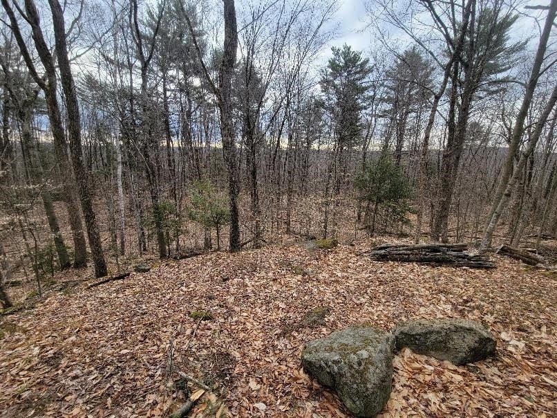 42 Beech Lane, Gilsum, NH 03448 | MLS: 5025962 | Land and Farm