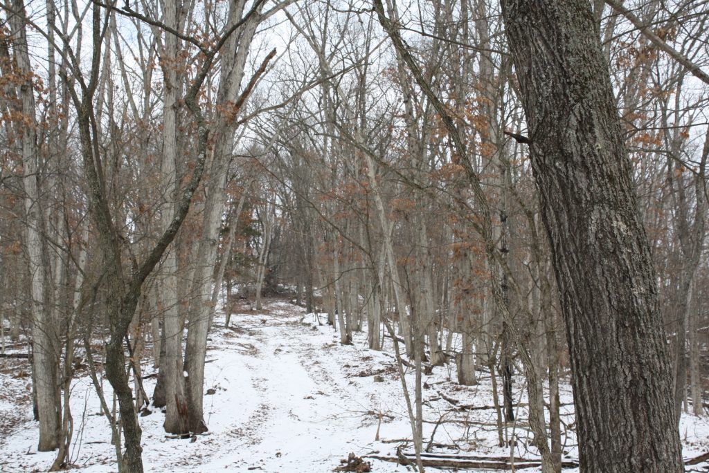 4059 E IL HWY 95, Marietta, IL 61459 | Land and Farm