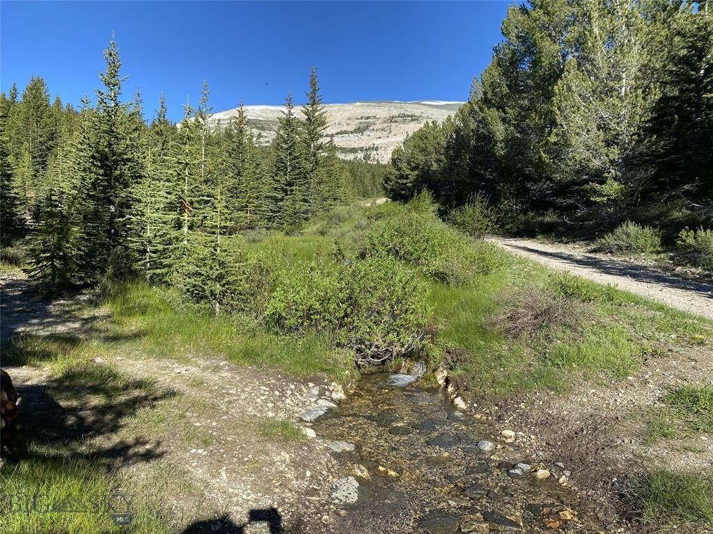 Tbd Trapper Creek Road, Melrose, MT 59743 | MLS: 398922 | Land and Farm