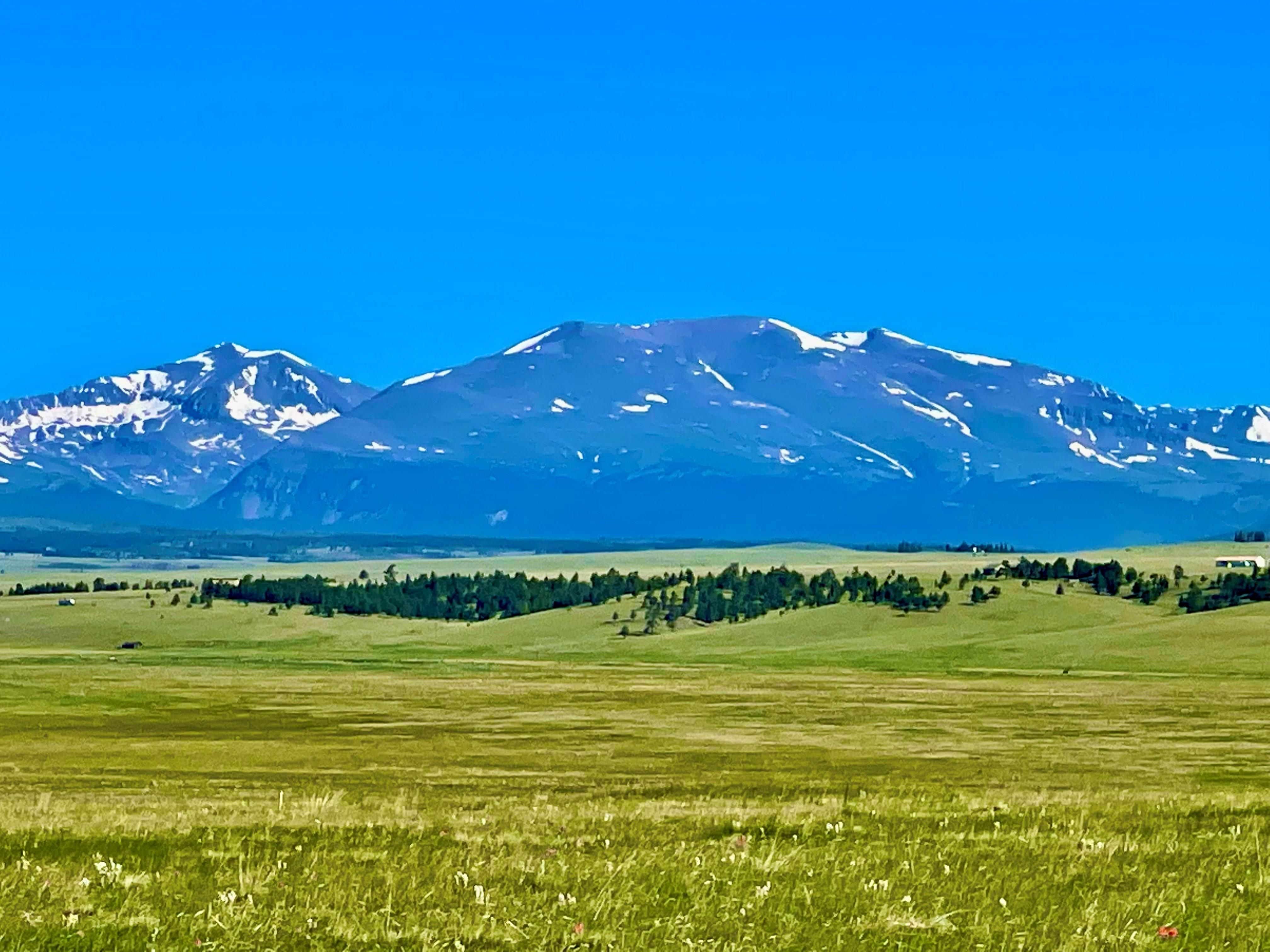 2555 County Road 24, Hartsel, CO 80449 | MLS: 8702459 | Land and Farm