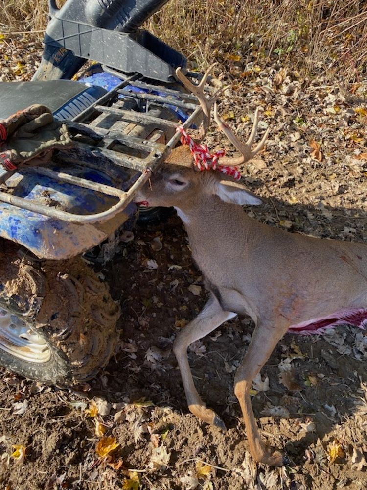 40+/- Ac at W Wheatonville Road, Elberfeld, IN 47613 | Land and Farm