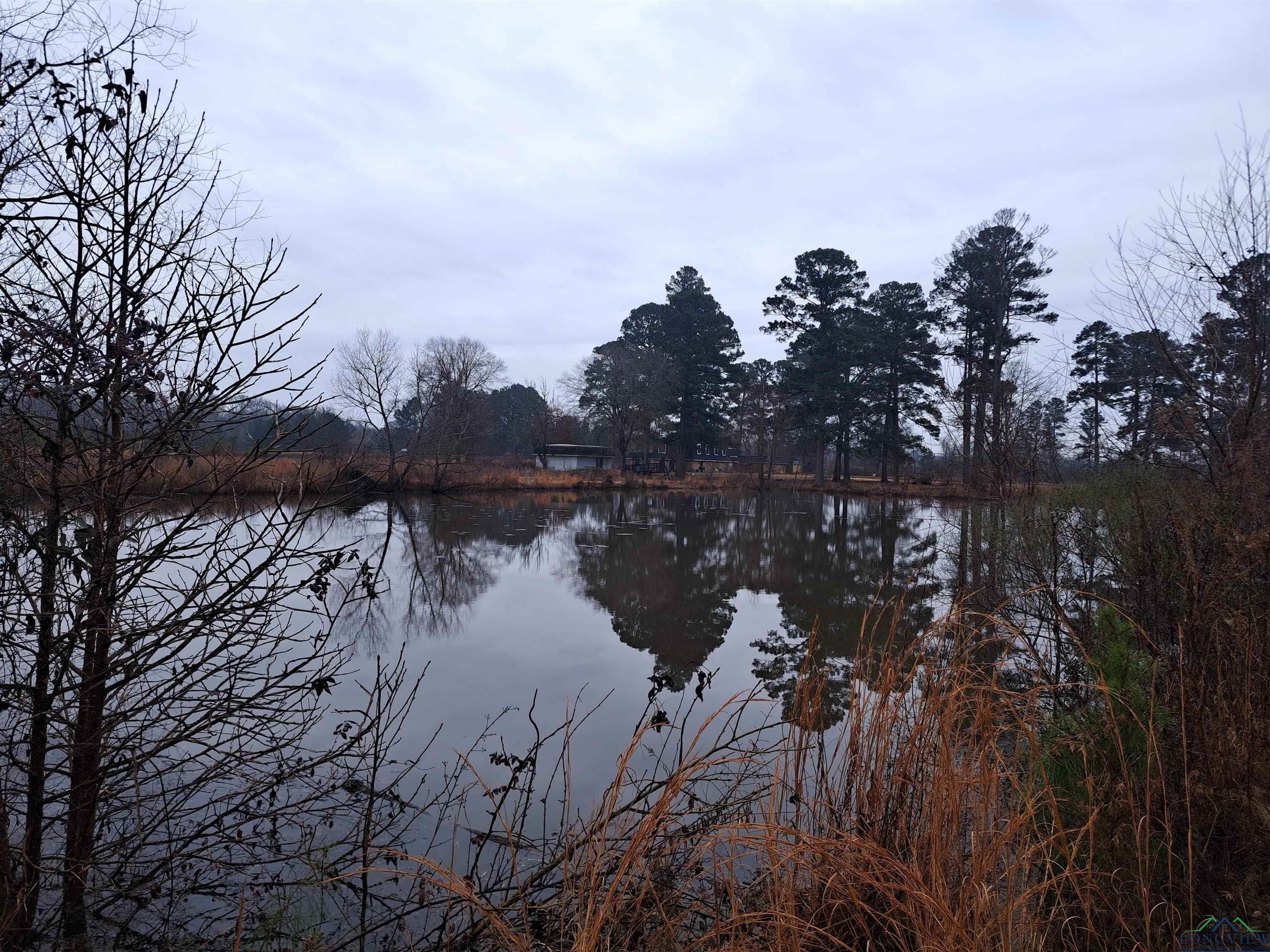 996 Private Road 1331, Elysian Fields, TX 75672 | MLS: 20250626 | Land ...