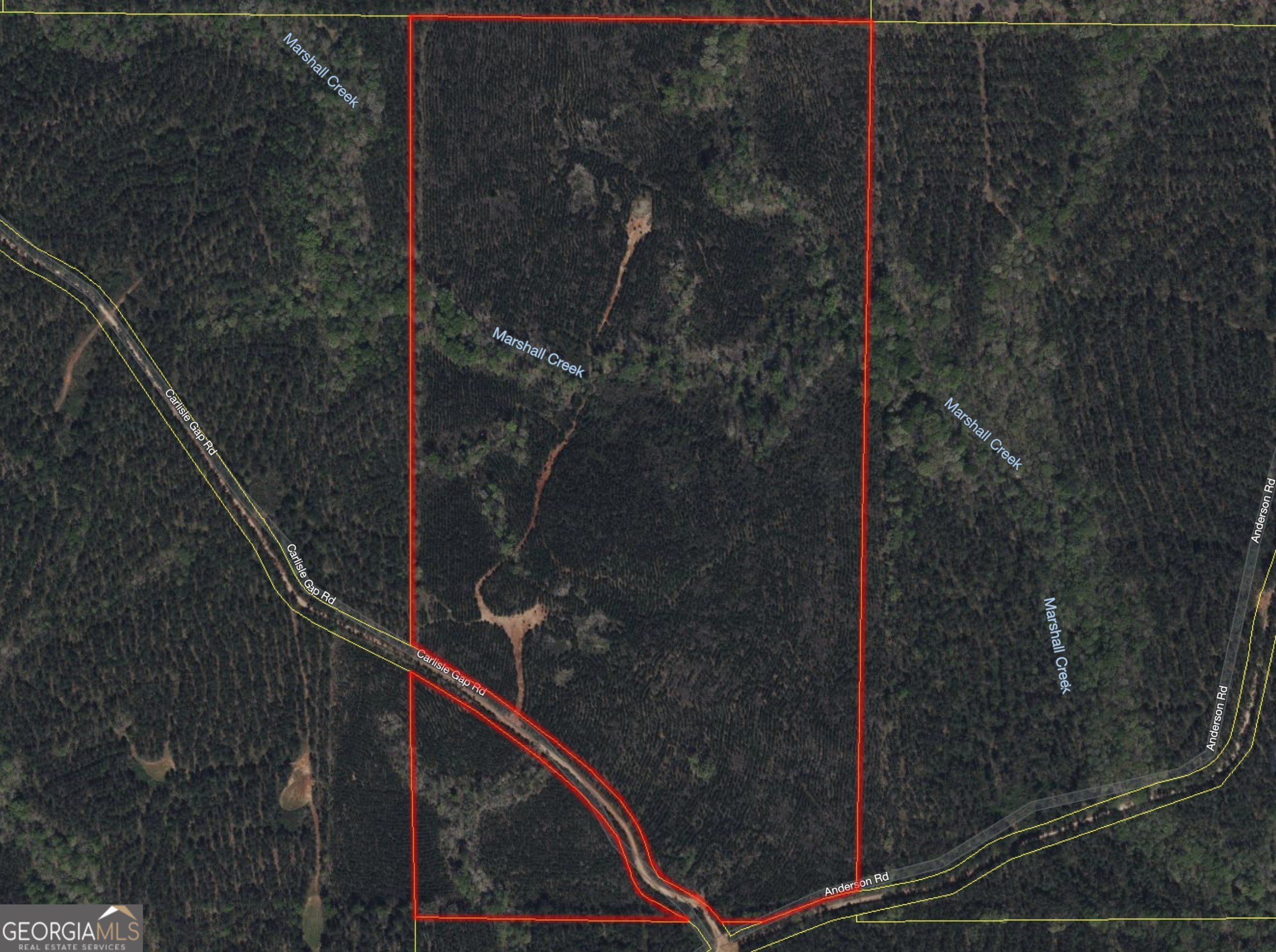 0 Carlisle Gap, Woodland, GA 31836 | MLS: 10449795 | Land and Farm