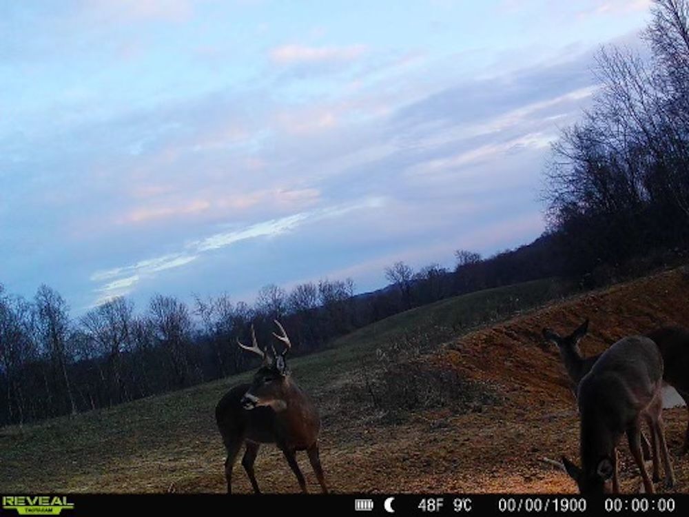 Wayne Ridge Road, Lot@WP001, Zanesville, OH 43701 | MLS: 5090614 | Land ...