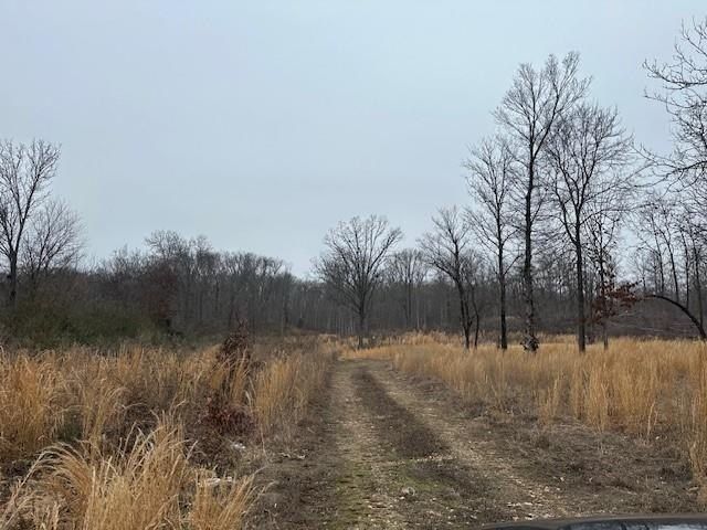 0 County Rd 606, Watts, OK 74964 | MLS: 1297934 | Land and Farm